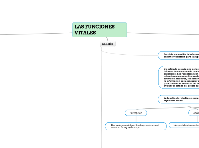 LAS FUNCIONES VITALES - Mind Map